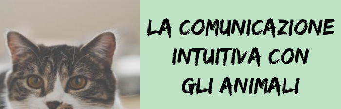 Comunicare con i nostri animali è possibile! Intervista a Andrea Contri