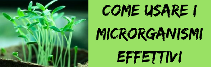 Cos'è il microbiota umano e come mantenerlo sano