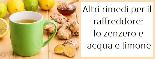 Raffreddore: 10 tisane per farlo passare